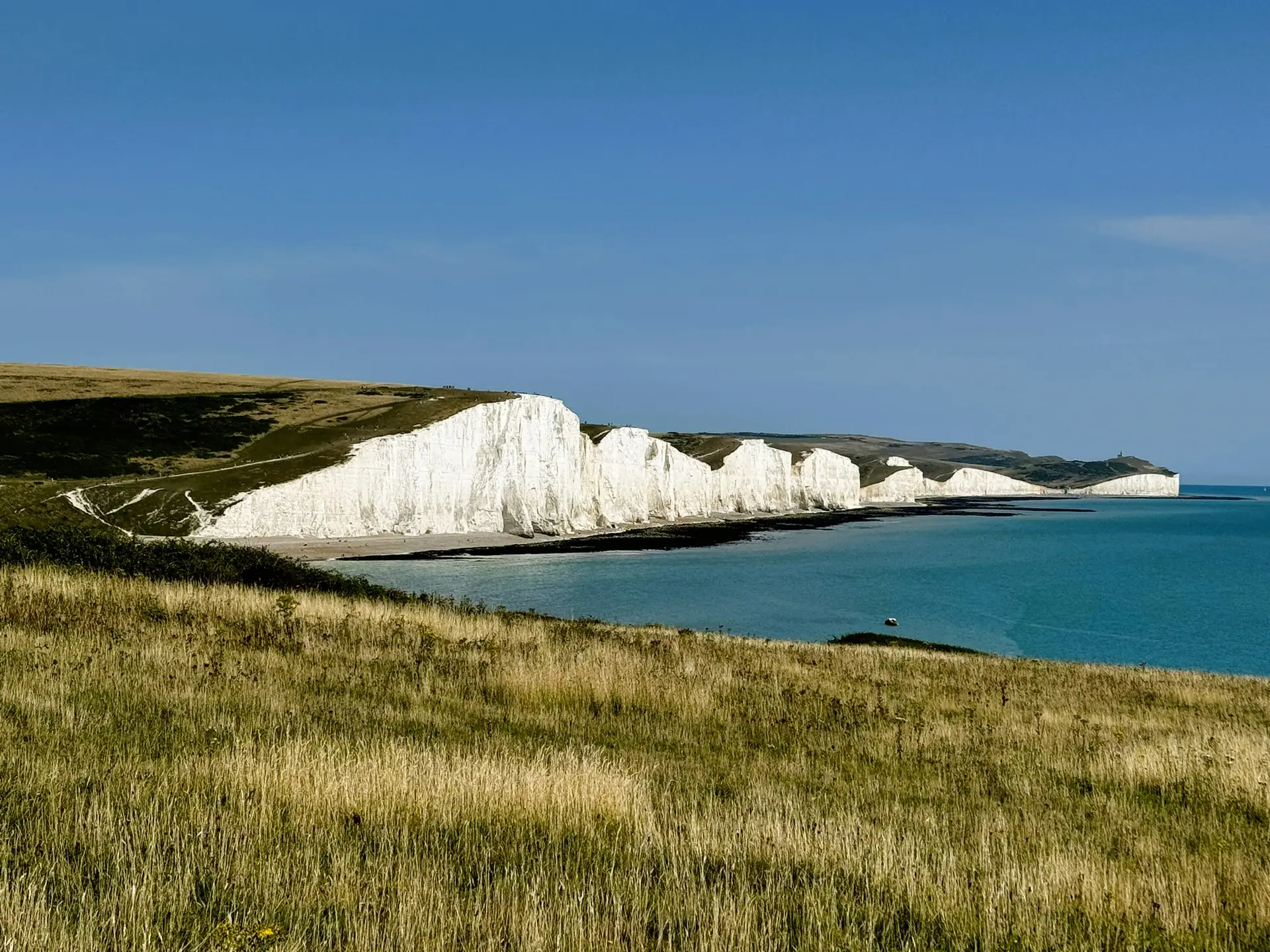 Statutory Biodiversity Metric (SBM) 4.0 | ACP Consultants